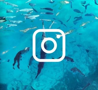 Home - Fadrí | Excursions Marítimes a l'Estartit